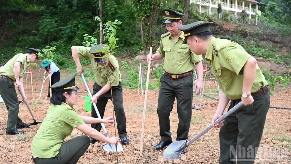 Over 1.5 million new trees to be planted in response to World Day to ...