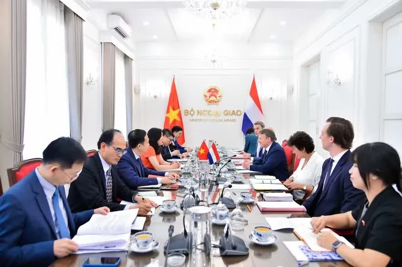 Viet Nam, Netherlands hold second deputy minister-level political ...