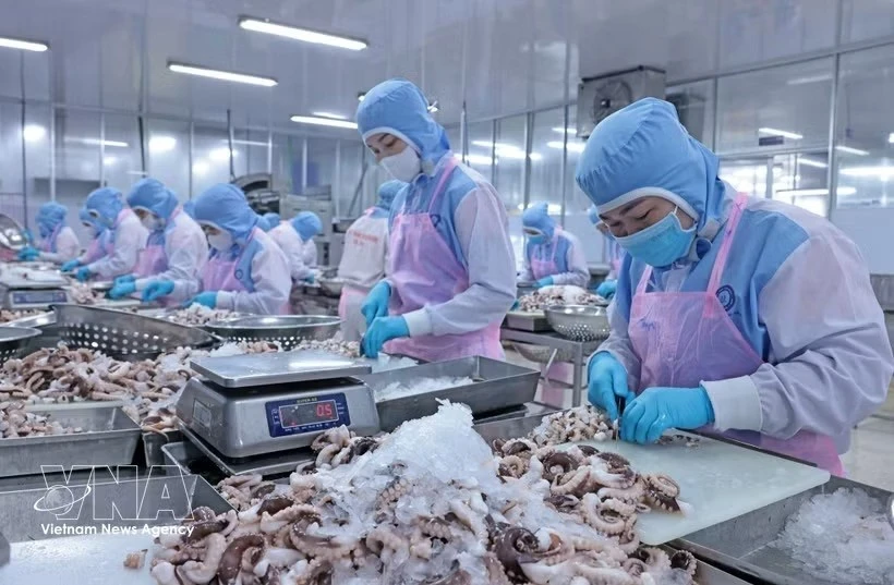 Viet Nam's long-term investment appeal remains intact: EuroCham