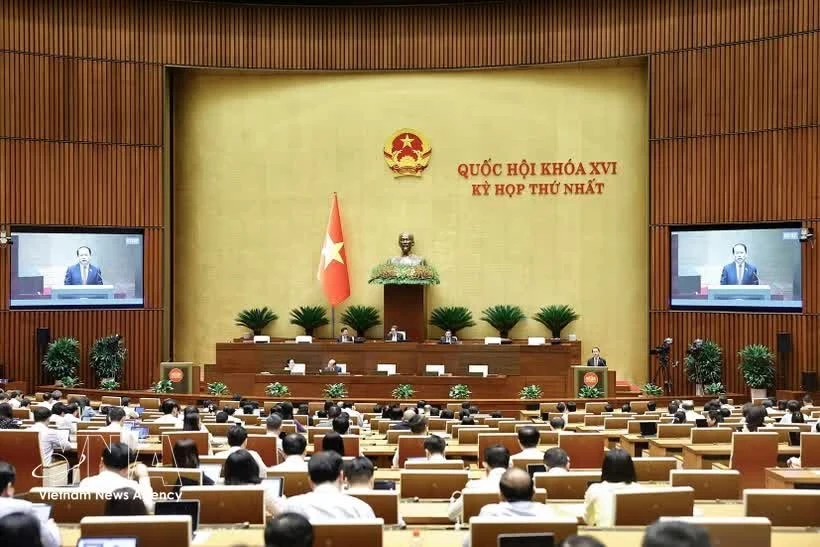 Final working day of 16th National Assembly's 1st session | Nhan Dan Online