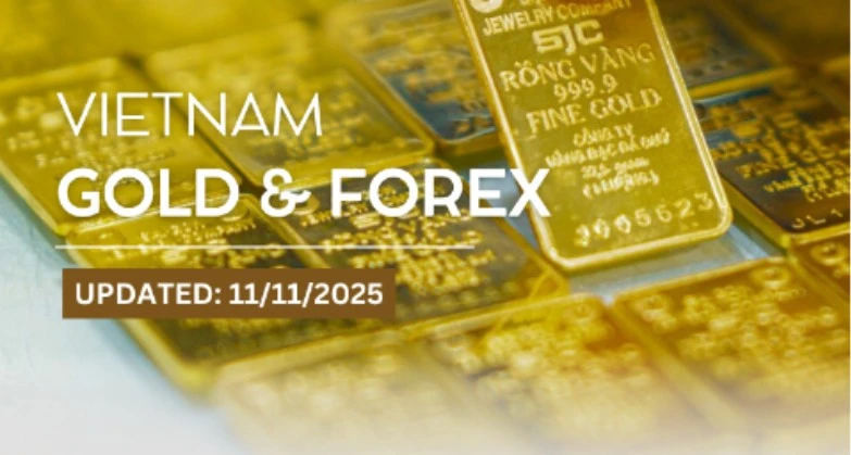 Infographic: Gold prices increase sharply on November 11 | Nhan Dan Online
