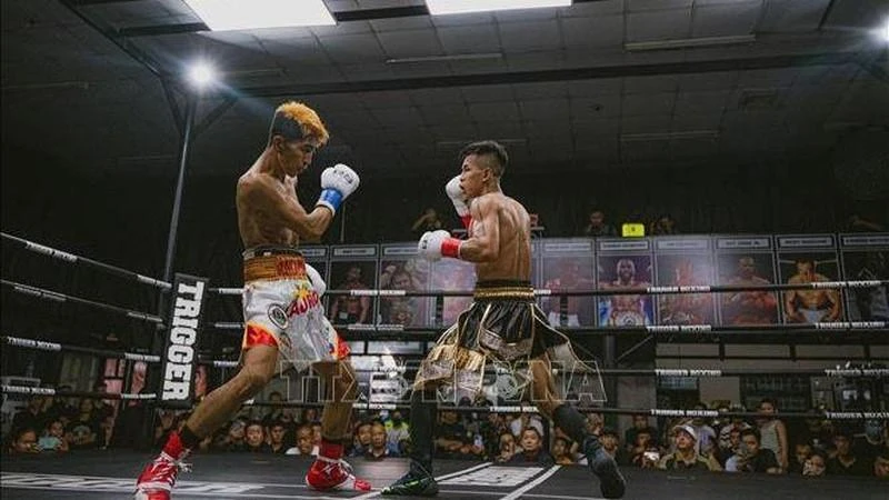 Vietnamese boxer Tran Van Thao wins IBA world belt | Nhan Dan Online