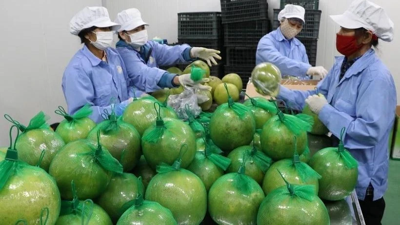 Plenty of room for Vietnamese businesses to expand market share in the ...
