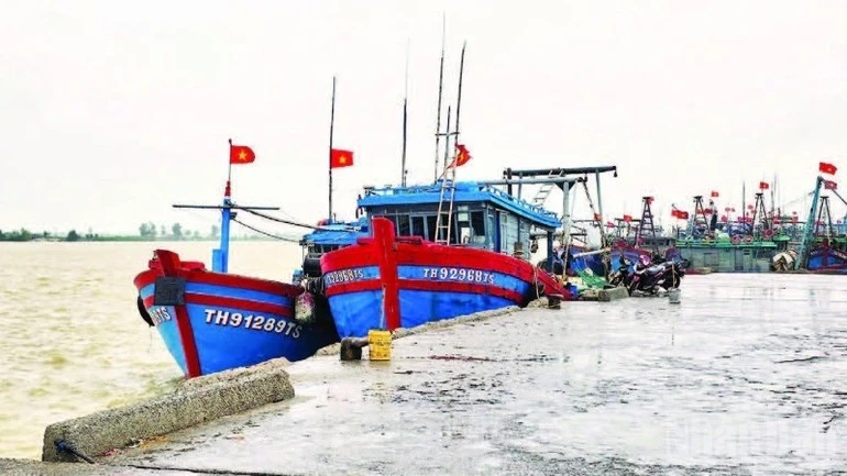 Stepping up efforts to lift IUU “yellow card”: Accelerated, coordinated ...