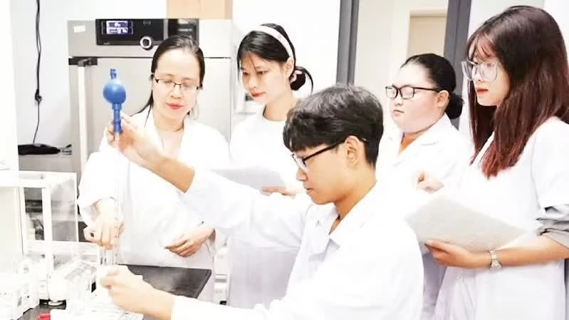 Digital capacity in comprehensive human development