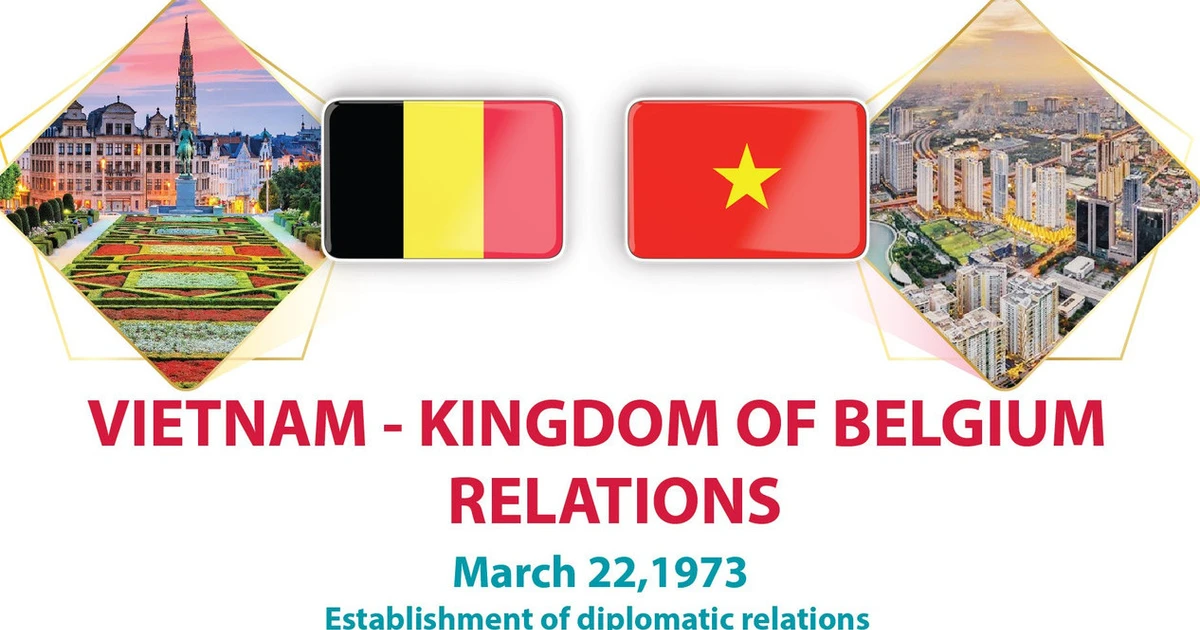 [Infographic] Vietnam - Kingdom of Belgium Friendship and Cooperation ...